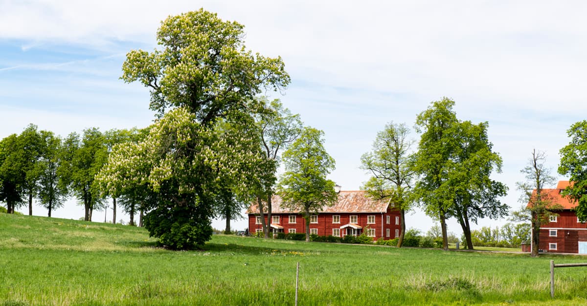 Scan Sverige investerar i ett nytt hållbarhetstillägg till sina ...